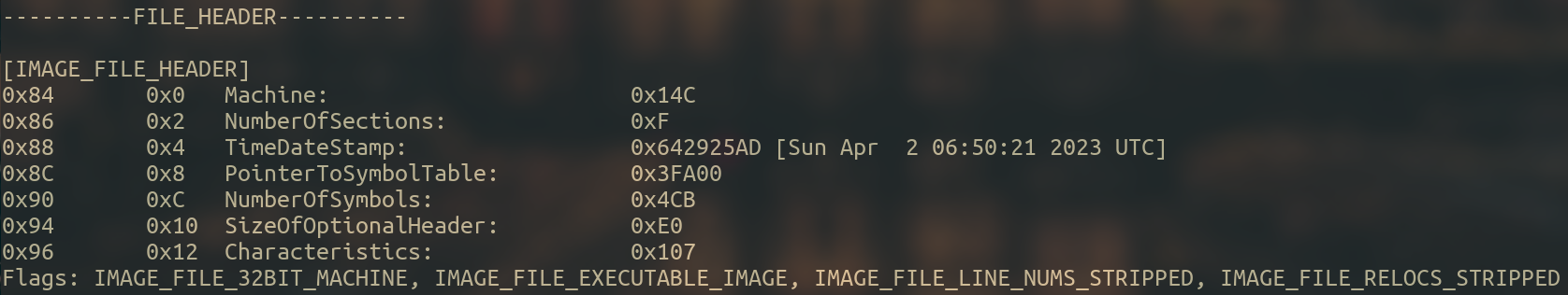 The Portable Executable Format Pe